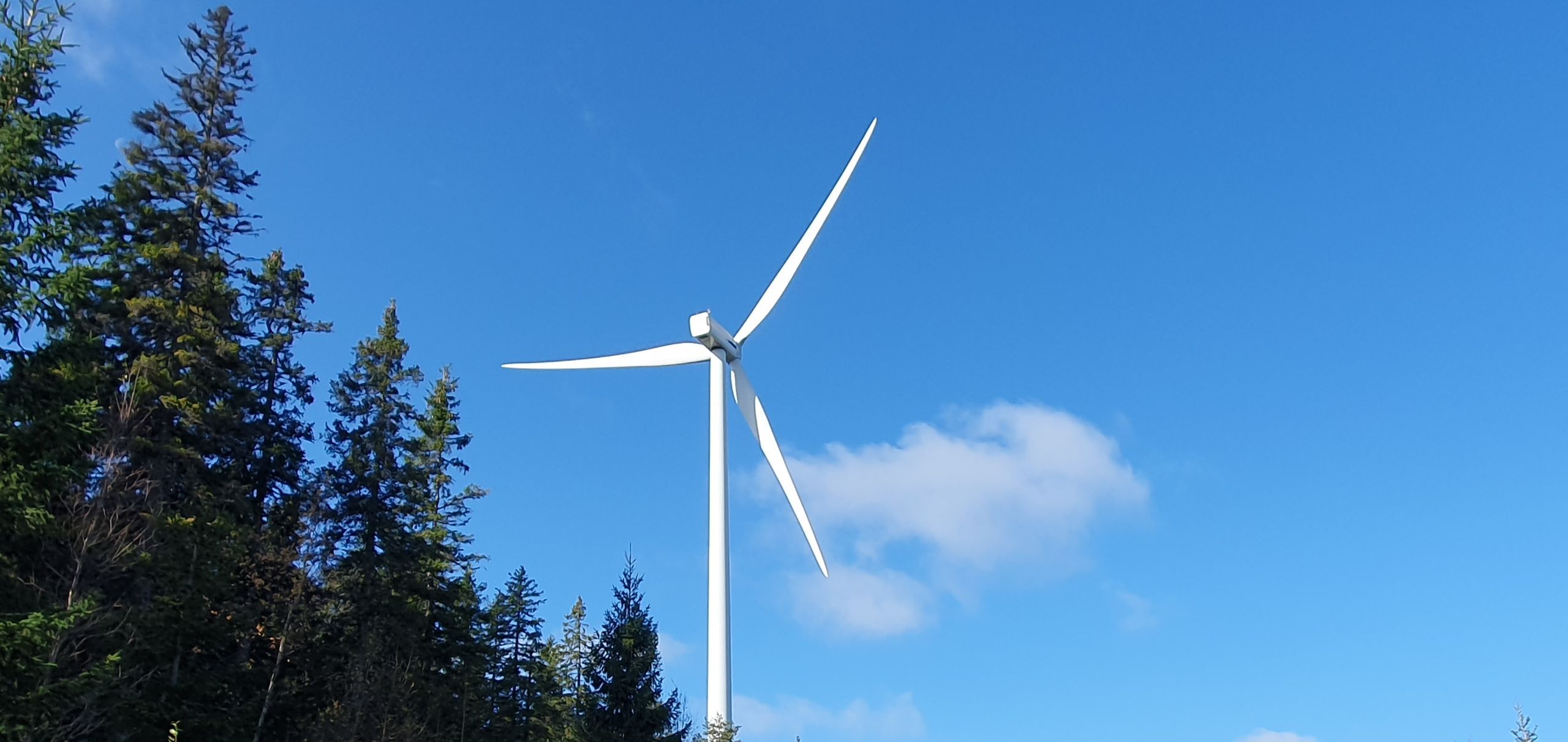 wpd-koncernen - wpd sweden : wpd sweden