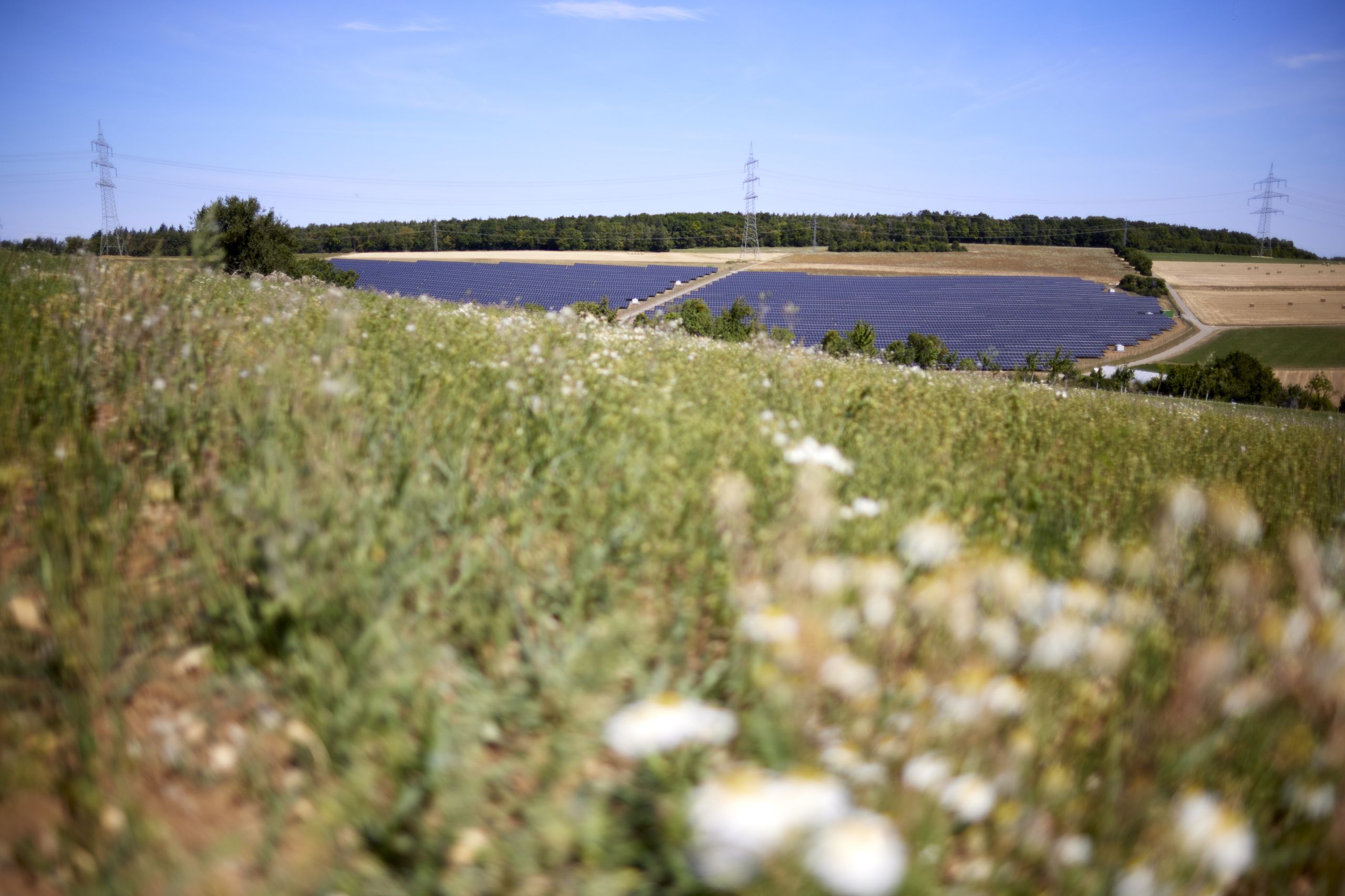 Varför wpd - wpd sweden : wpd sweden